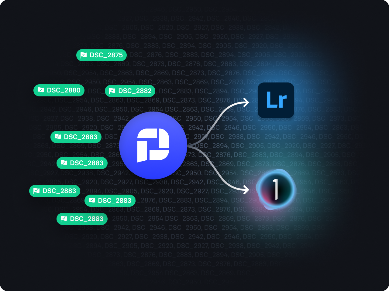 Manage Client Galleries and Review Feedback — Try Picflow for Free!