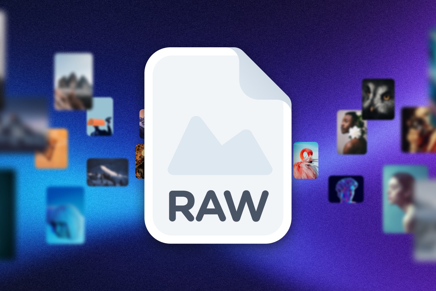 How to Extract the Preview Image from RAW Files