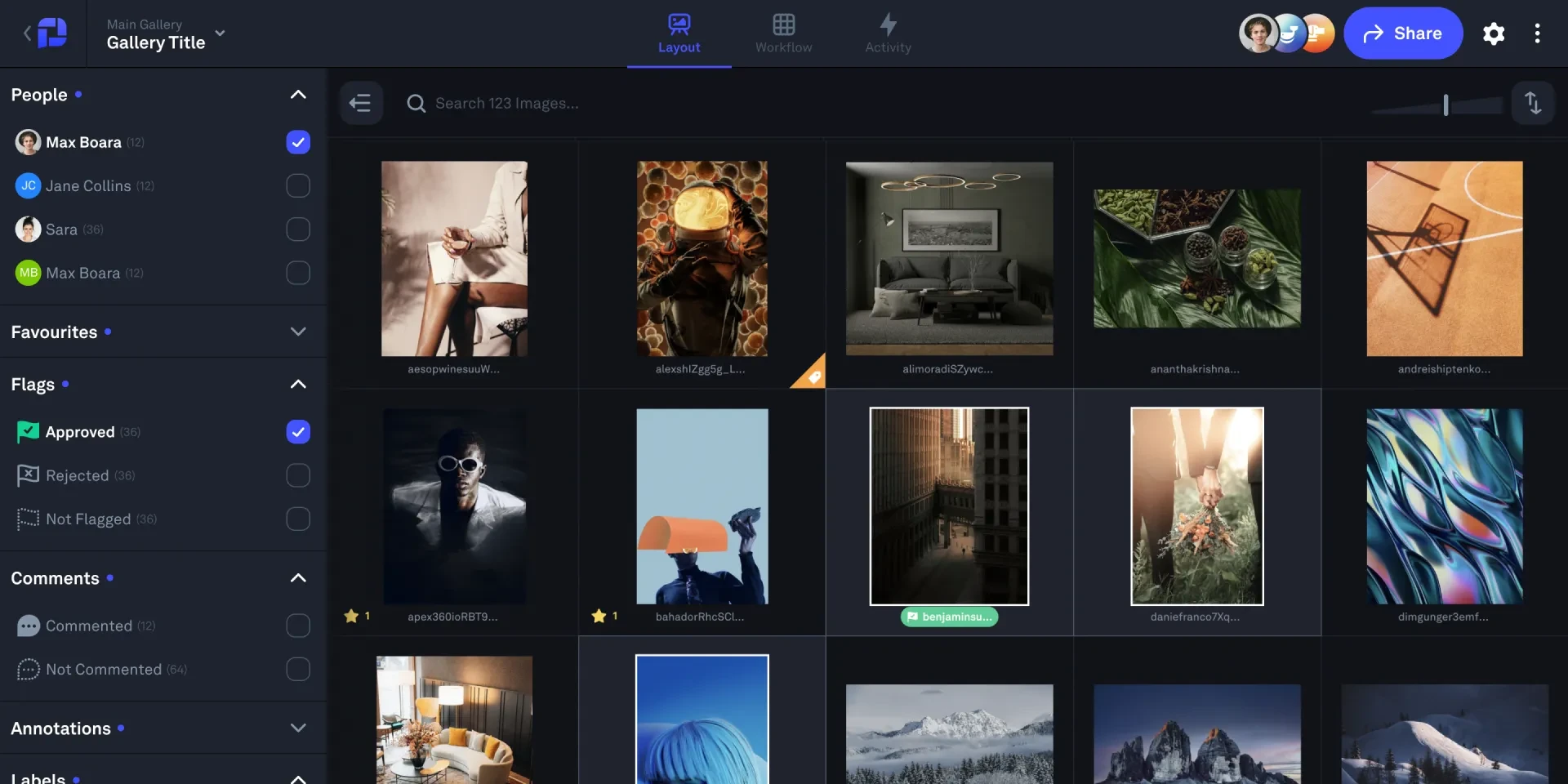 Manage Client Galleries and Review Feedback — Try Picflow for Free!