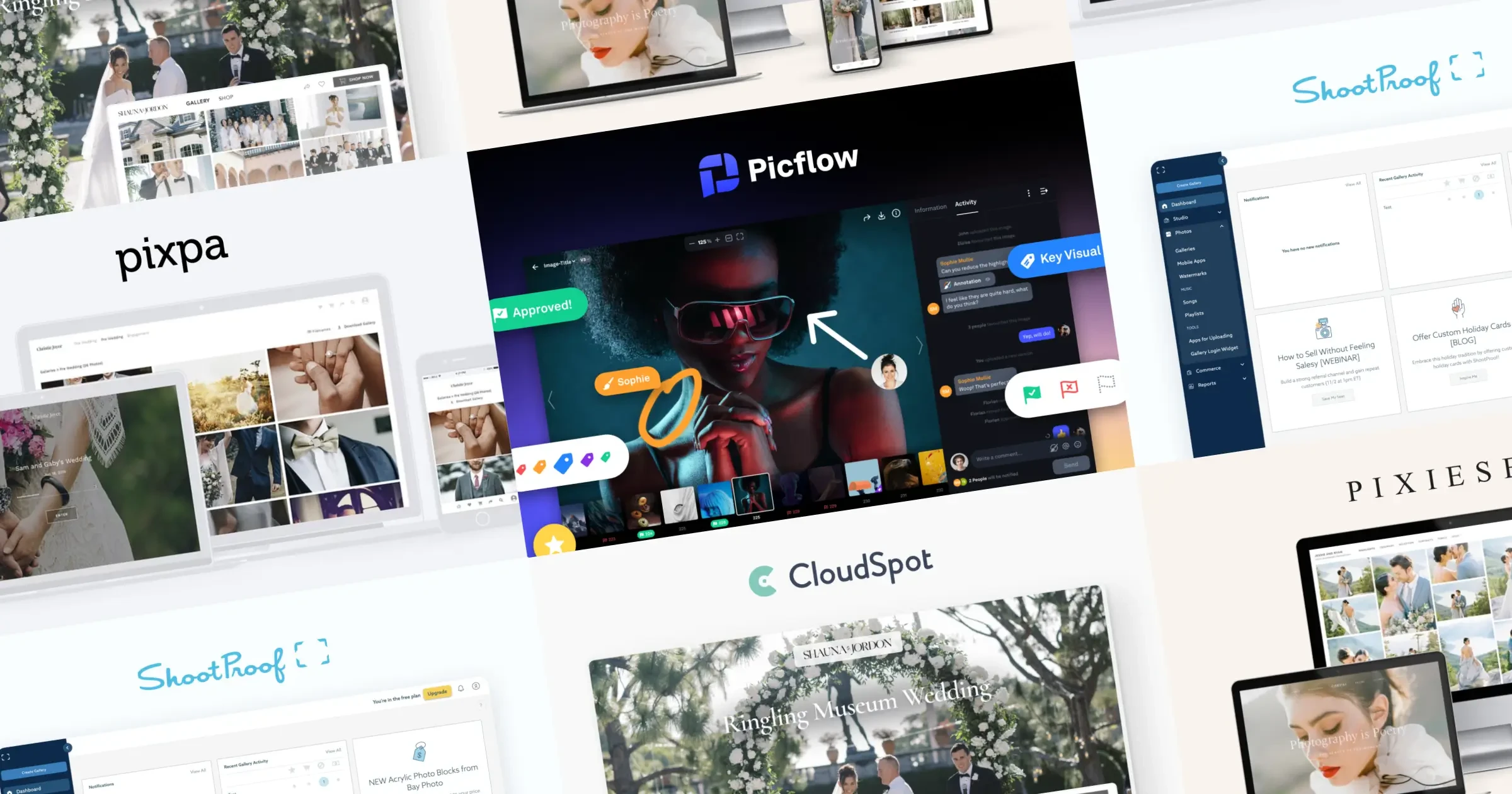 Best Ways to Share Photos and Galleries with Clients in 2024